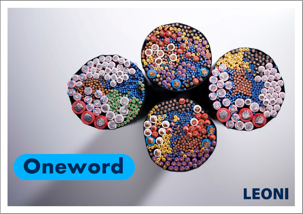 LEONI is the winner of the German Brand Award 2024 | News | LEONI Serbia